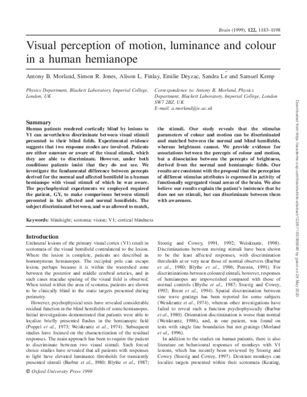 (PDF) Visual perception of motion, luminance and colour in a human hemianope