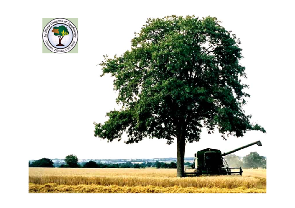 (PDF) Integrating tree-crop dynamic interactions with the HiSAFE model