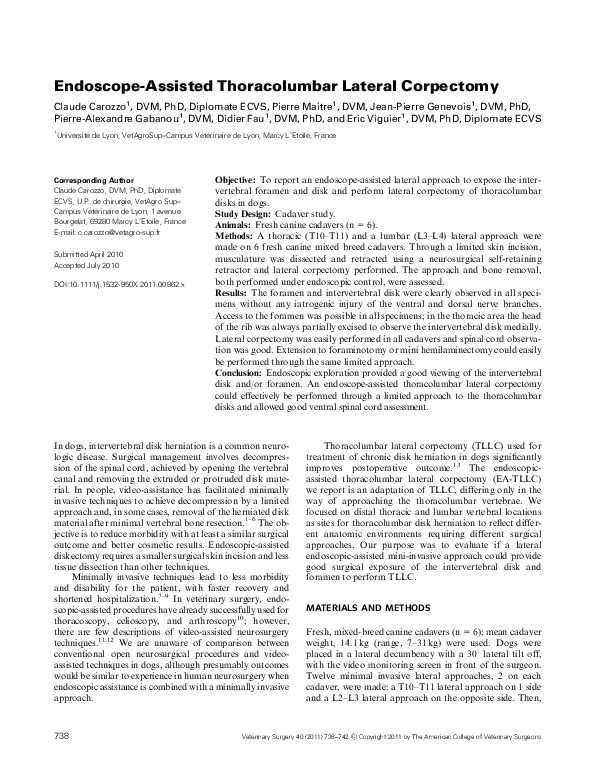 (PDF) Endoscope-Assisted Thoracolumbar Lateral Corpectomy | Jean-Pierre ...
