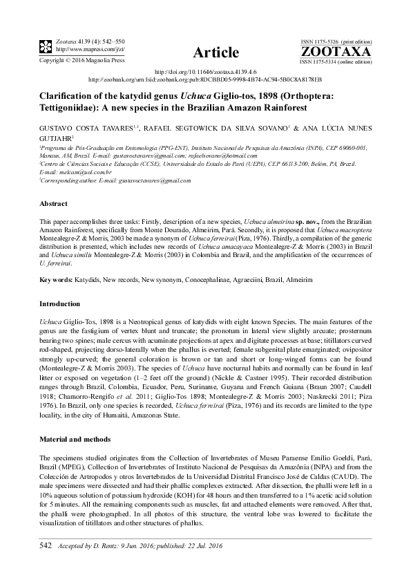 (PDF) Clarification of the katydid genus Uchuca Giglio-tos, 1898 ...