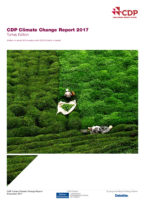 (PDF) CDP Climate Change Report 2017: Turkey Edition
