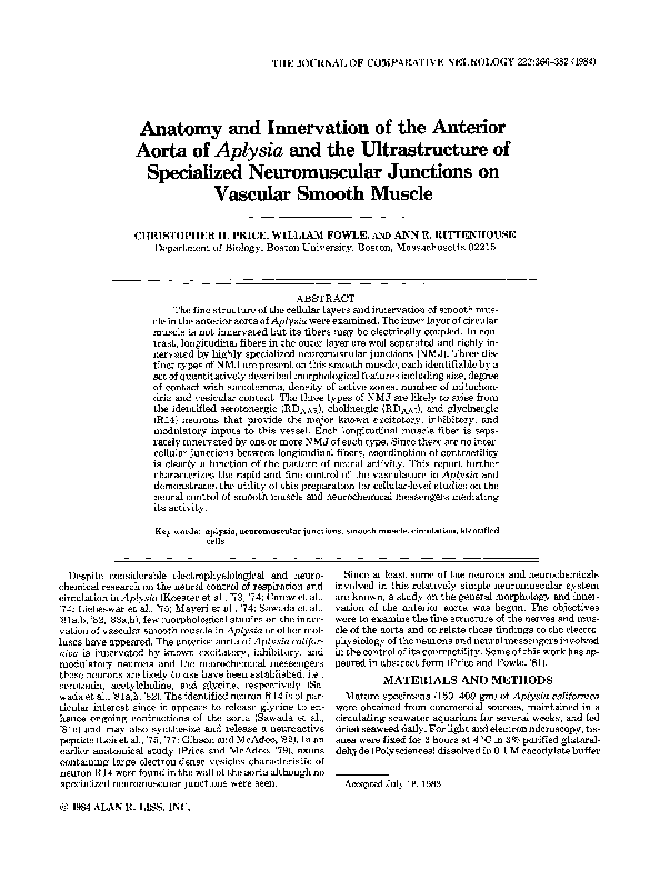 (PDF) Anatomy and innervation of the anterior aorta ofAplysia and the ...