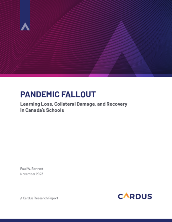 (PDF) Education Fallout: Learning Loss, Collateral Damage and Recovery ...