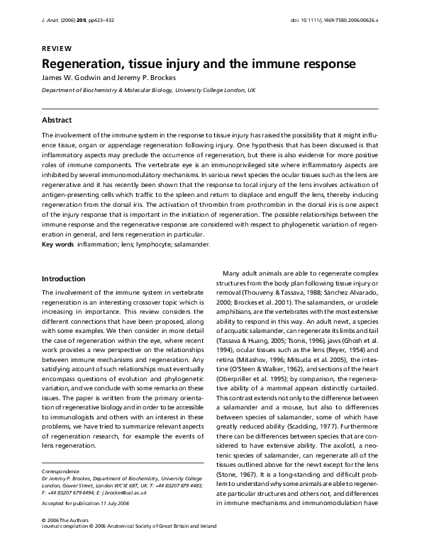 (PDF) Regeneration, tissue injury and the immune response