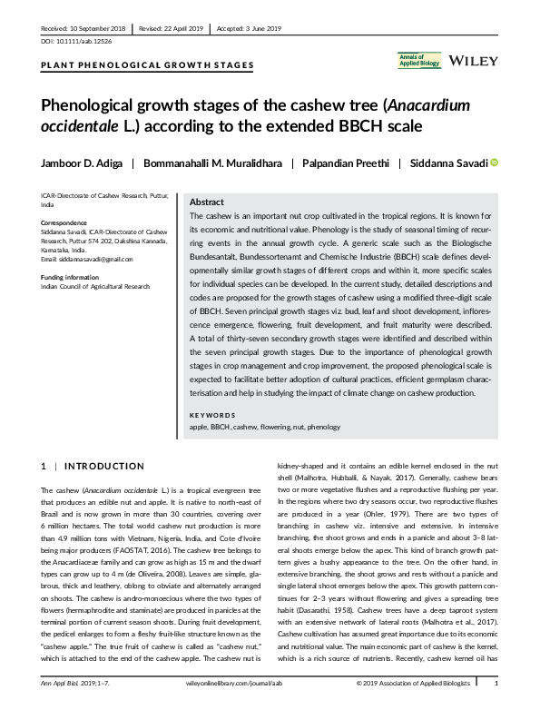 (PDF) Phenological growth stages of the cashew tree (Anacardium ...