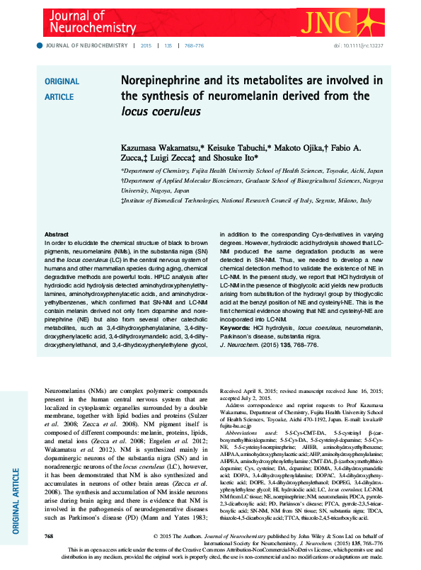 (PDF) Norepinephrine and its metabolites are involved in the synthesis ...