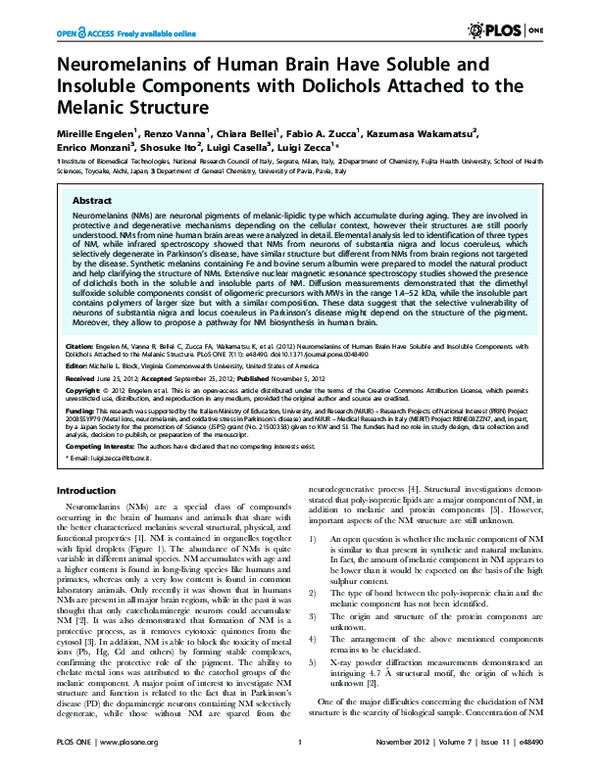 (PDF) Neuromelanins of Human Brain Have Soluble and Insoluble ...