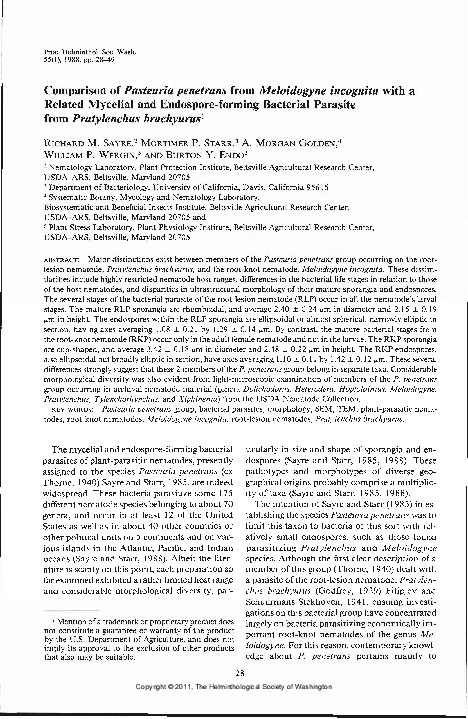 (PDF) Compariso n of Pasteuria penetrans from Meloidogyne incognita ...