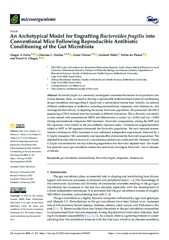 (PDF) An Archetypical Model for Engrafting Bacteroides fragilis into ...