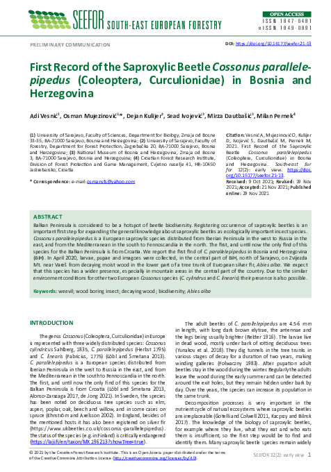 (PDF) First Record of the Saproxylic Beetle Cossonus parallelepipedus ...
