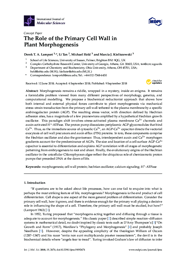 (PDF) The Role of the Primary Cell Wall in Plant Morphogenesis
