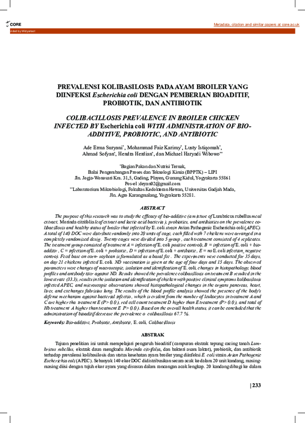 (PDF) PREVALENSI KOLIBASILOSIS PADA AYAM BROILER YANG DIINFEKSI ...