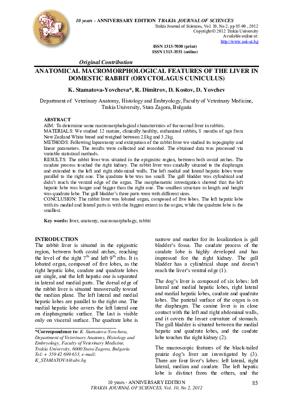 (PDF) Original Contribution ANATOMICAL MACROMORPHOLOGICAL FEATURES OF ...