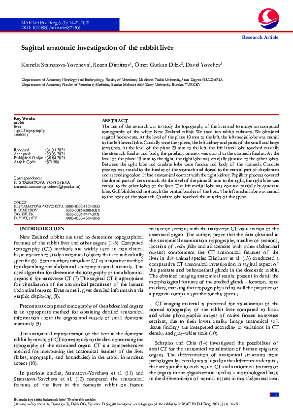 (PDF) Sagittal anatomic investigation of the rabbit liver