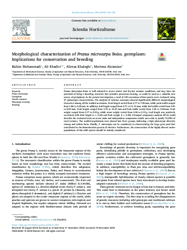 (PDF) Morphological characterization of Prunus microcarpa Boiss ...