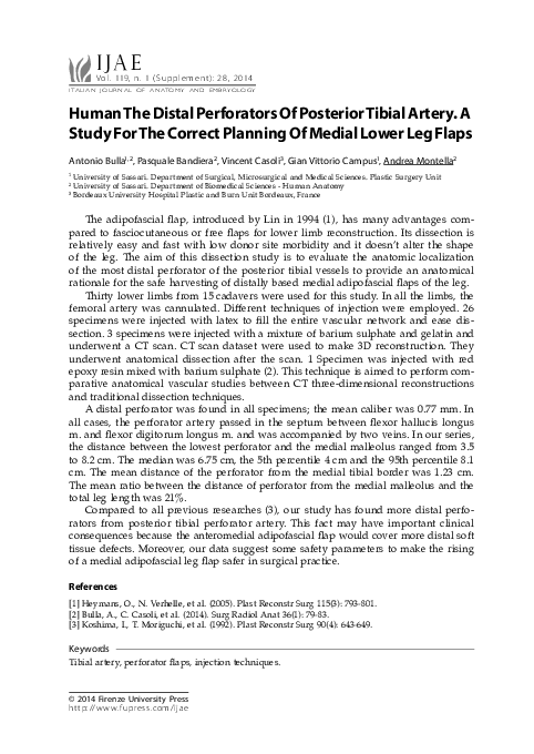 (PDF) Human The Distal Perforators Of Posterior Tibial Artery. A Study ...