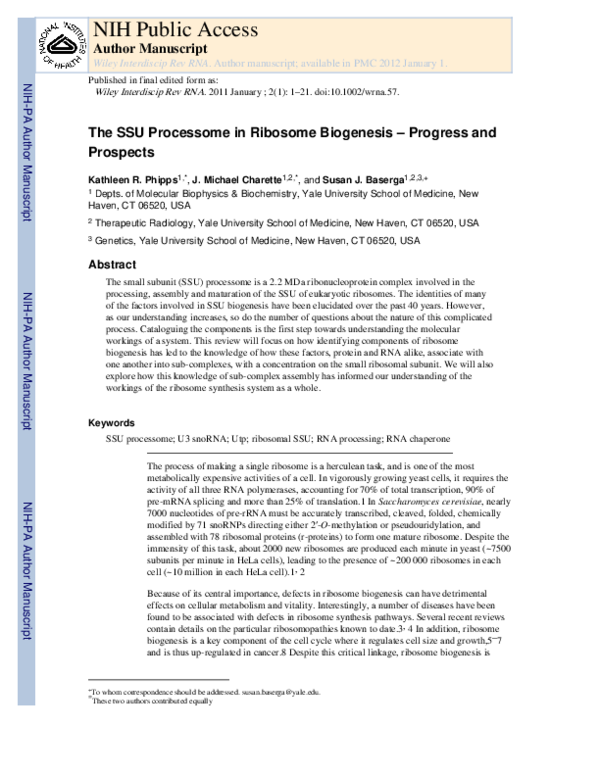 (PDF) The small subunit processome in ribosome biogenesis—progress and ...