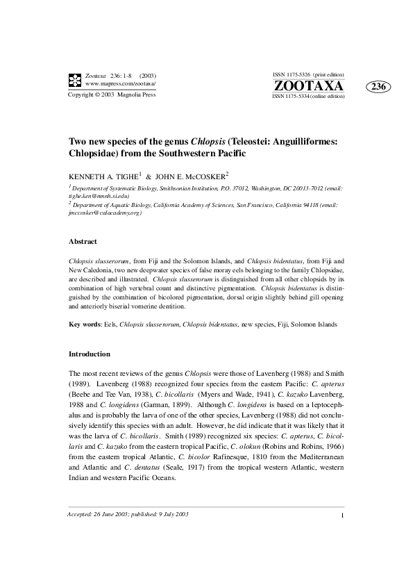 (PDF) Two new species of the genus Chlopsis (Teleostei: Anguilliformes ...