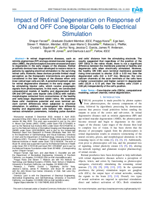 (PDF) Impact of Retinal Degeneration on Response of ON and OFF Cone ...