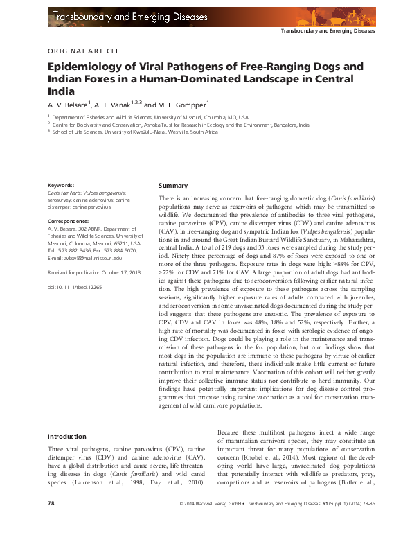 (PDF) Epidemiology of Viral Pathogens of Free-Ranging Dogs and Indian ...