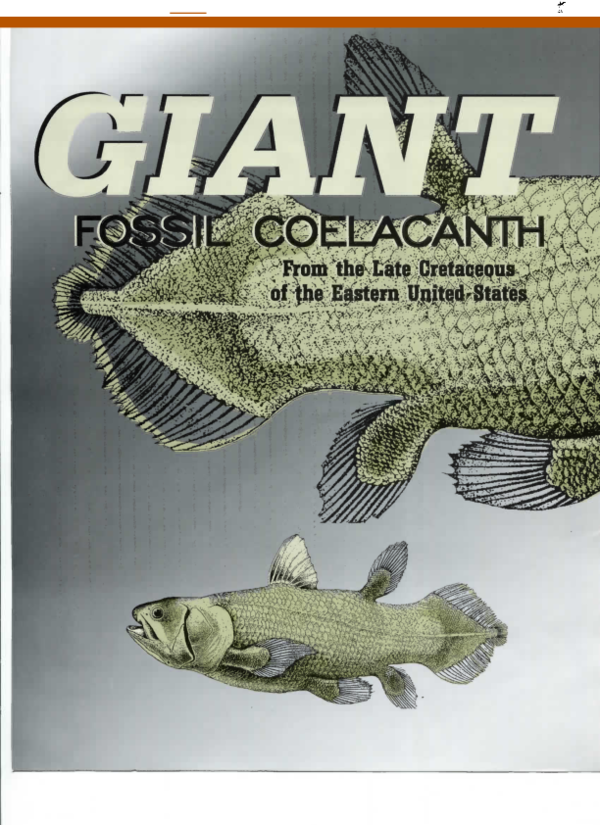 (PDF) Giant fossil coelacanths from the Late Cretaceous of the eastern USA
