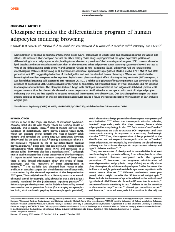 (PDF) Clozapine modifies the differentiation program of human ...