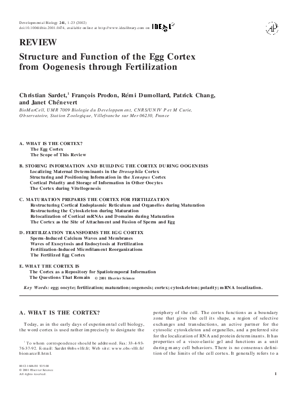 (PDF) Structure and Function of the Egg Cortex from Oogenesis through ...