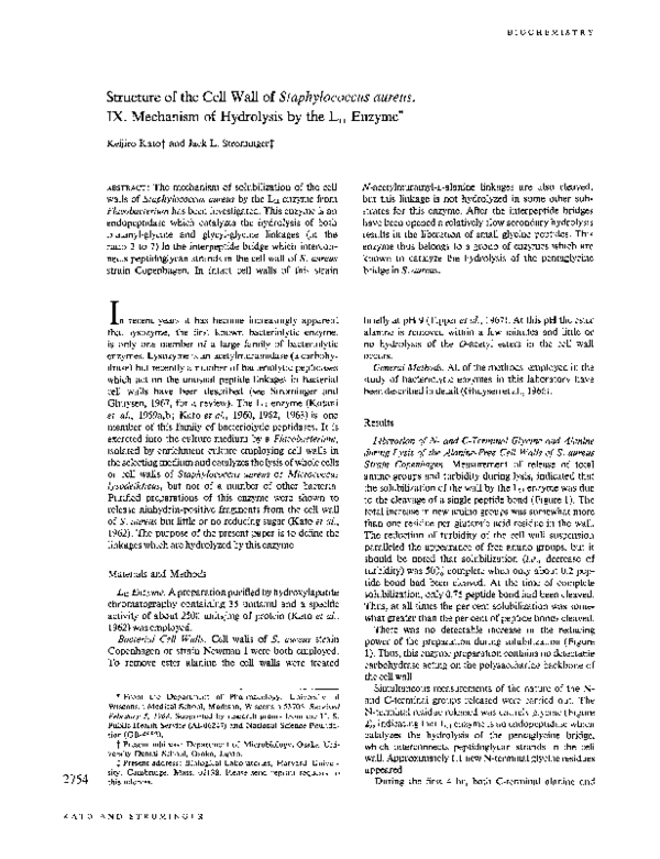 (PDF) Structure of the Cell Wall of Staphylococcus aureus, Strain ...