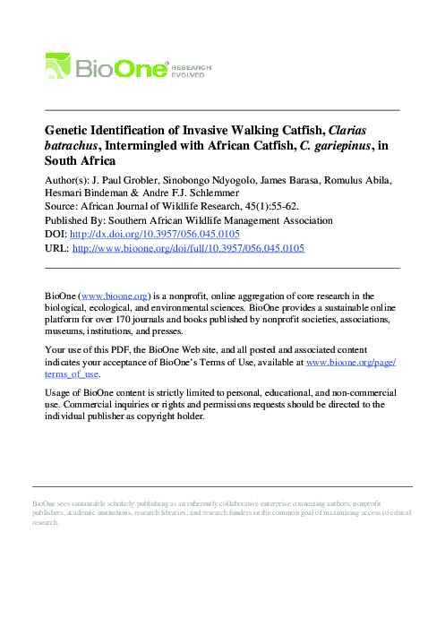 (PDF) Genetic Identification of Invasive Walking Catfish, Clarias ...