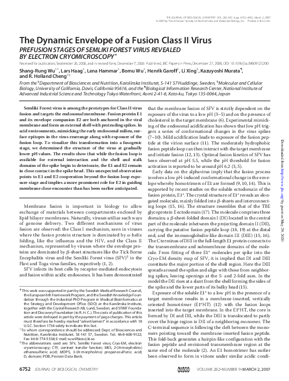 (PDF) The Dynamic Envelope of a Fusion Class II Virus | R Holland Cheng ...