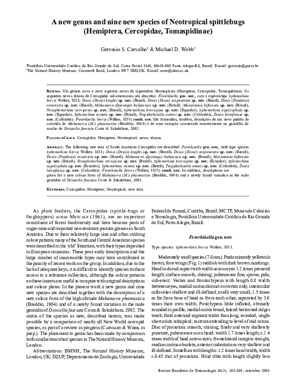 (PDF) A new genus and nine new species of Neotropical spittlebugs ...