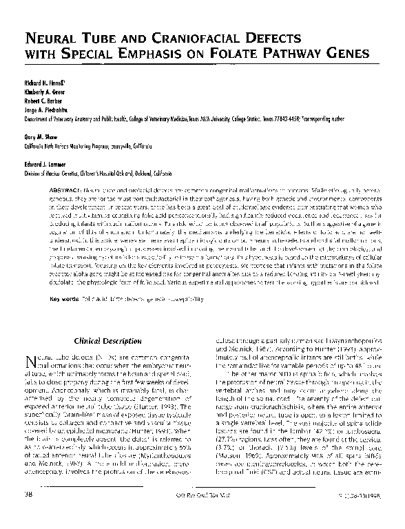 (PDF) Neural Tube and Craniofacial Defects With Special Emphasis On ...