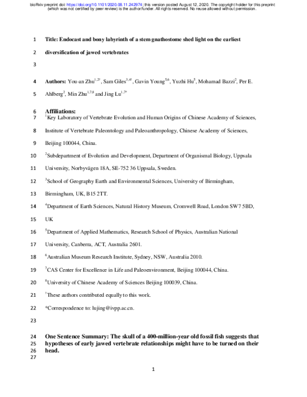 (PDF) Endocast and Bony Labyrinth of a Stem Gnathostome Shed Light on ...