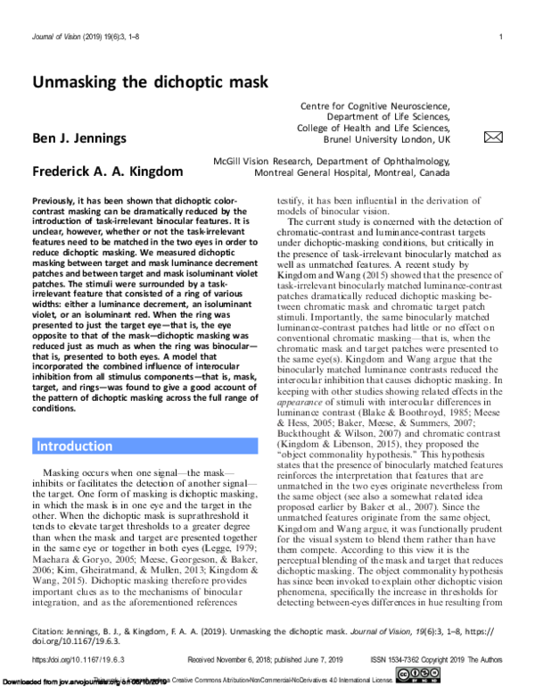 (PDF) Unmasking the dichoptic mask
