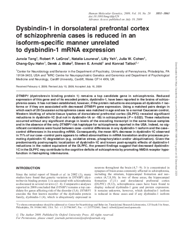 (PDF) Reduced dysbindin-1C in Schizophrenia DLPFC