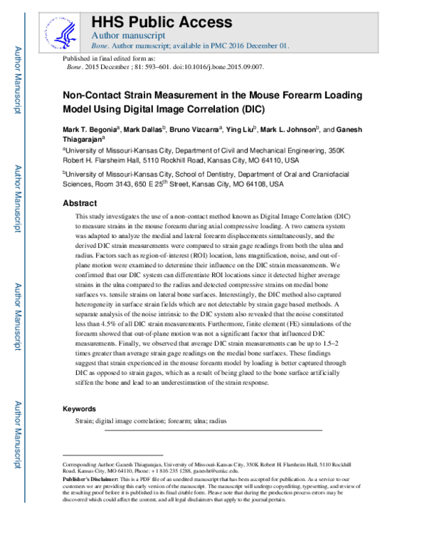 (PDF) Non-contact strain measurement in the mouse forearm loading model using digital image ...