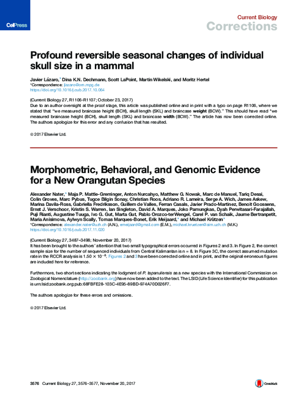 (PDF) Morphometric, Behavioral, and Genomic Evidence for a New ...
