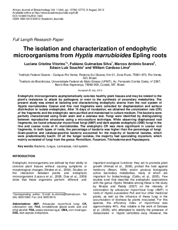 (PDF) The isolation and characterization of endophytic microorganisms from Hyptis marrubioides ...