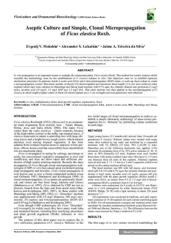 (PDF) Aseptic Culture and Simple, Clonal Micropropagation of Ficus ...