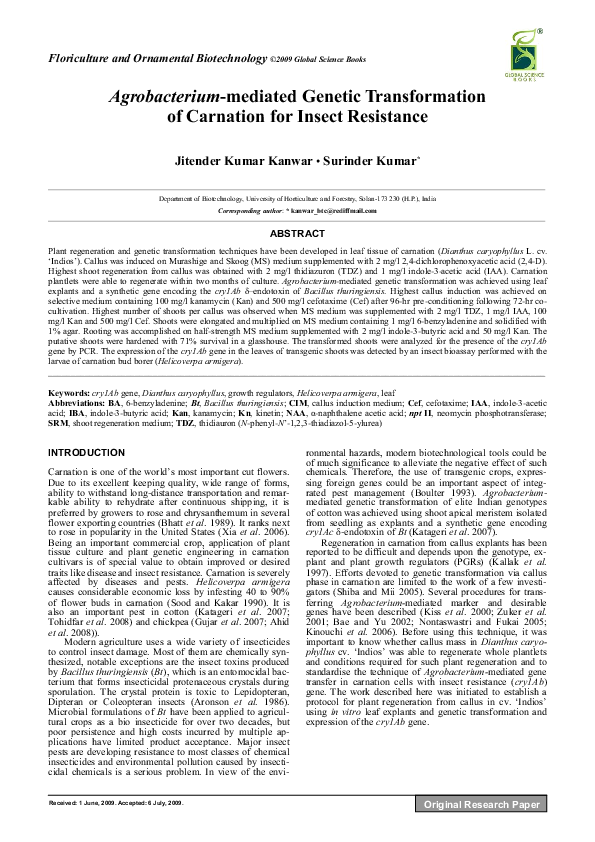 (PDF) Agrobacterium-mediated Genetic Transformation of Carnation for ...