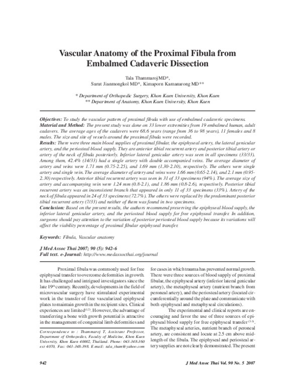(PDF) Vascular anatomy of the proximal fibula from embalmed cadaveric ...