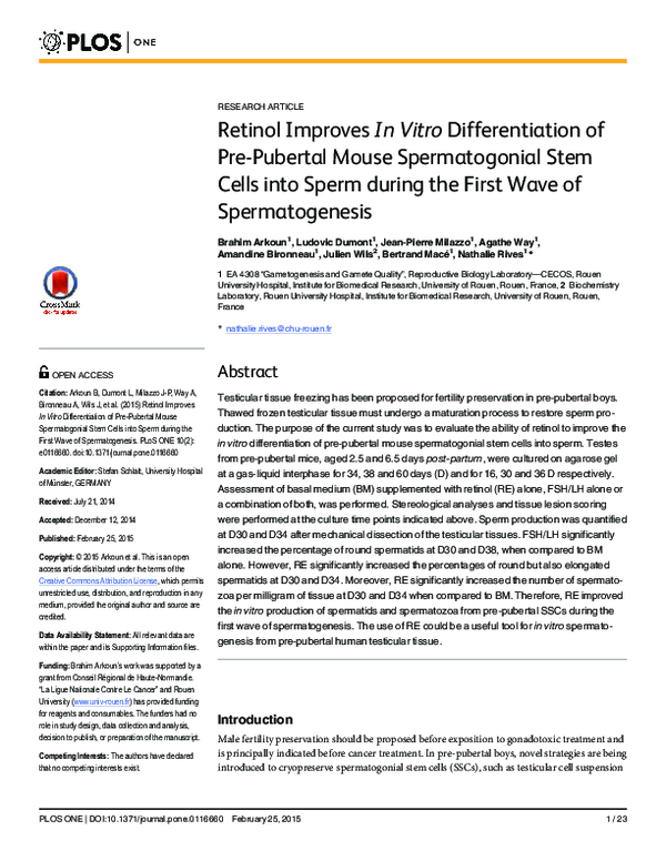 (PDF) Retinol Improves In Vitro Differentiation of Pre-Pubertal Mouse ...