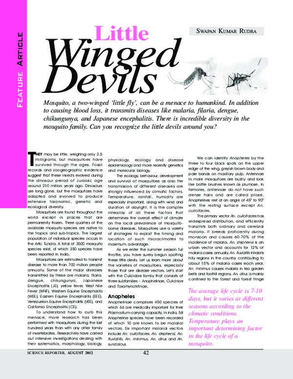 (PDF) Little Winged Devils