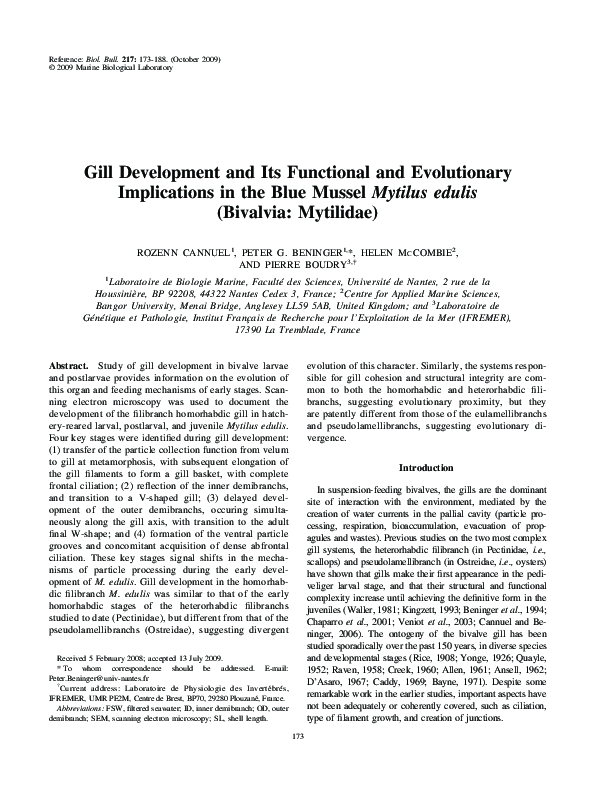(PDF) Gill Development and Its Functional and Evolutionary Implications ...