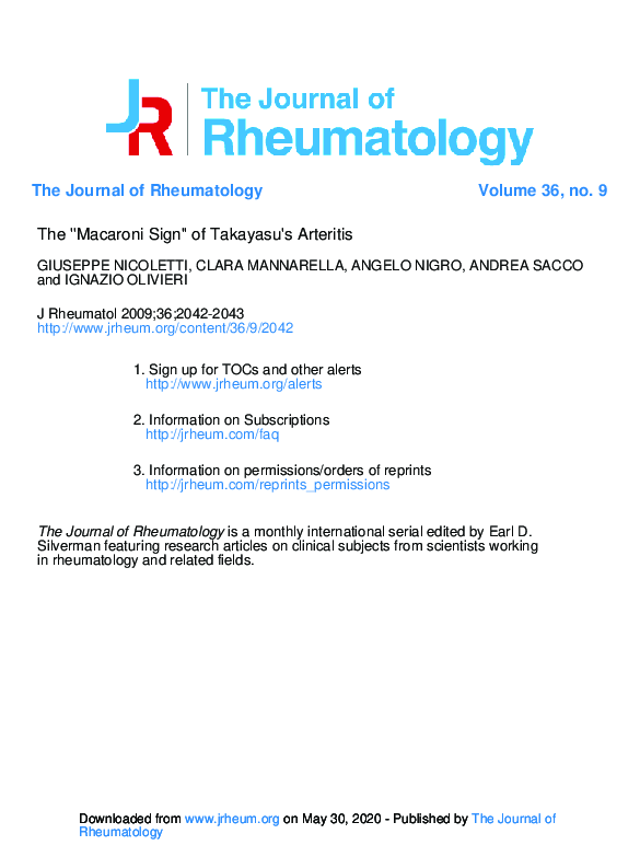 (PDF) The “Macaroni Sign” of Takayasu’s Arteritis: Figure 1