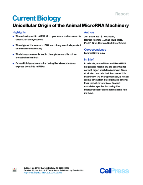 (PDF) Unicellular Origin of the Animal MicroRNA Machinery
