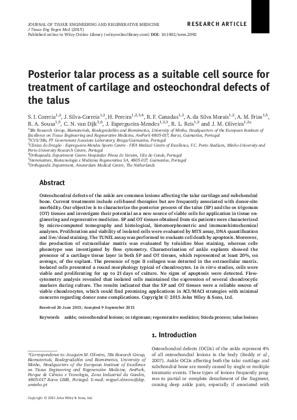 (PDF) Posterior talar process as a suitable cell source for treatment ...