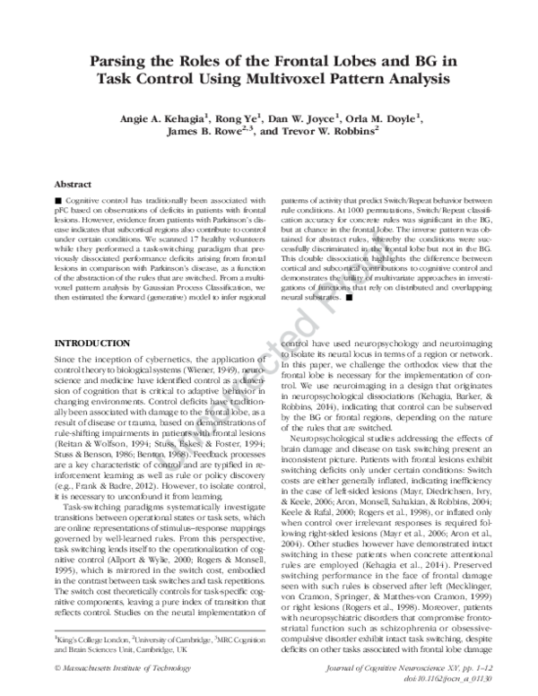 (PDF) Parsing the Roles of the Frontal Lobes and BG in Task Control Using Multivoxel Pattern ...