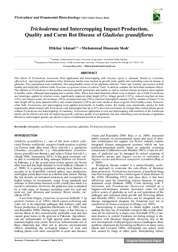 (PDF) Trichoderma and Intercropping Impact Production, Quality and Corm ...
