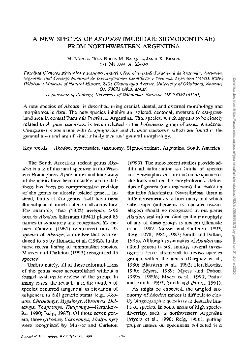 (PDF) A New Species of Akodon (Muridae: Sigmodontinae) from ...